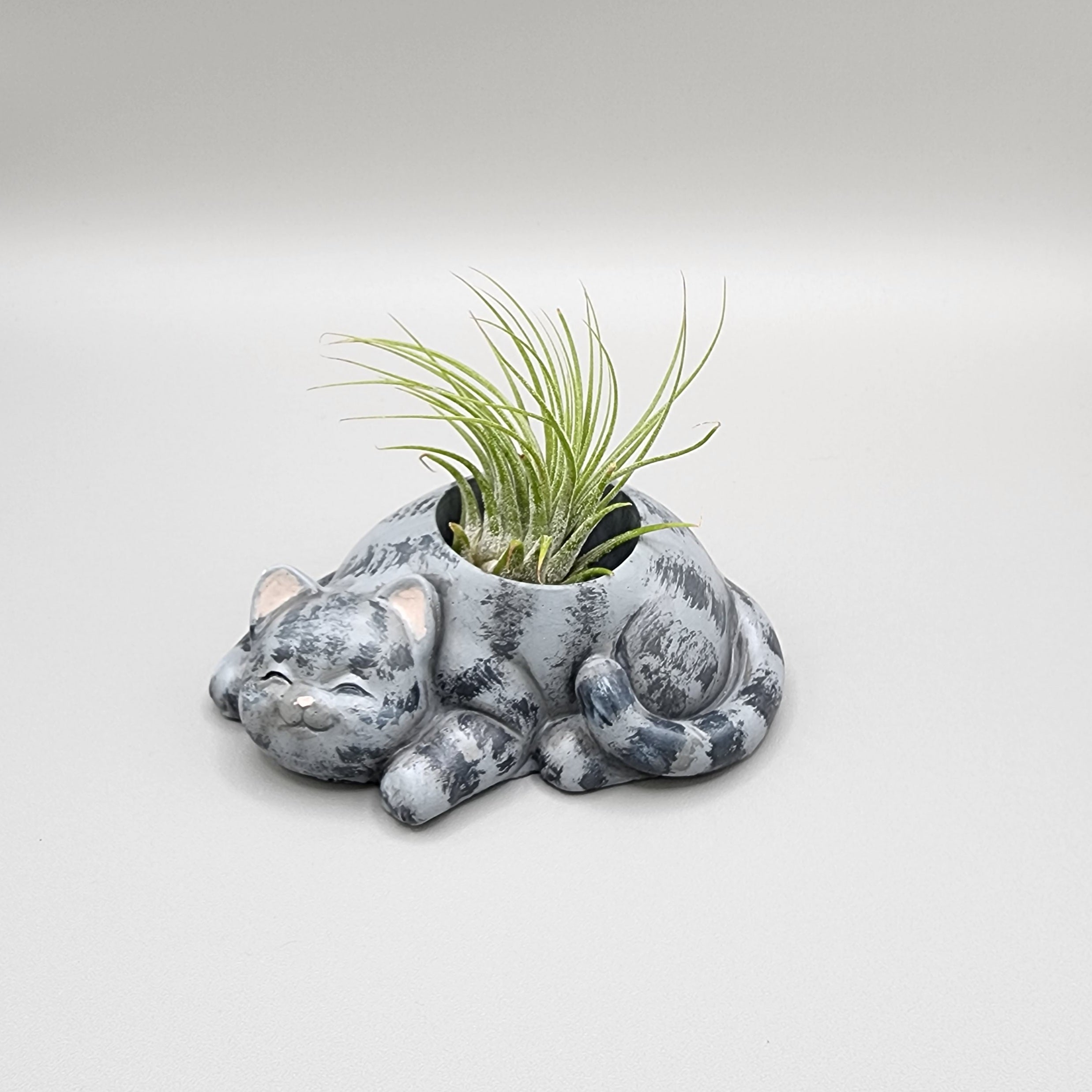 Cat – LP Whimsy